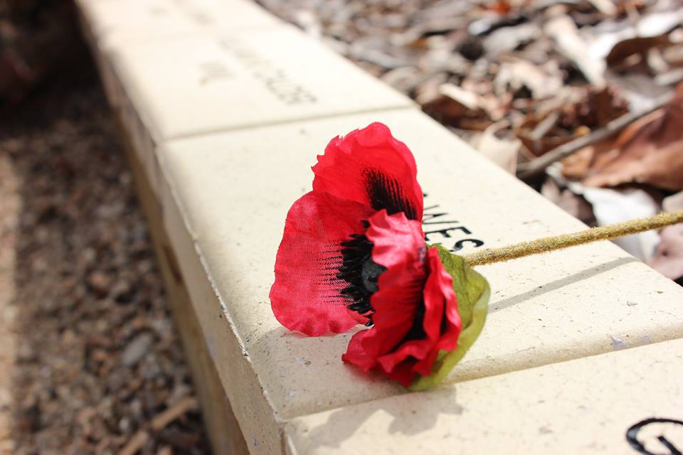 ANZAC Day - CraigLaundy